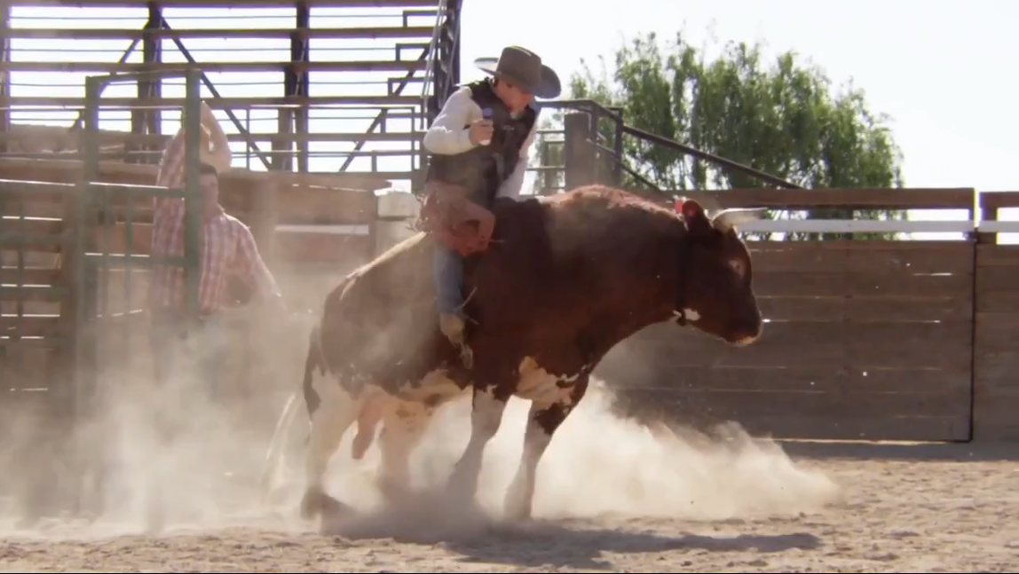 Bull Rider Cut | Lala - The Roots